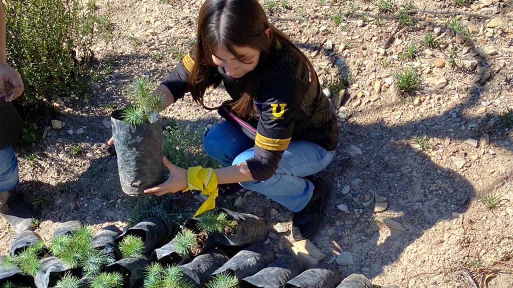 Obtienen voluntarios de Prepa “Pablo Livas” premio nacional ...